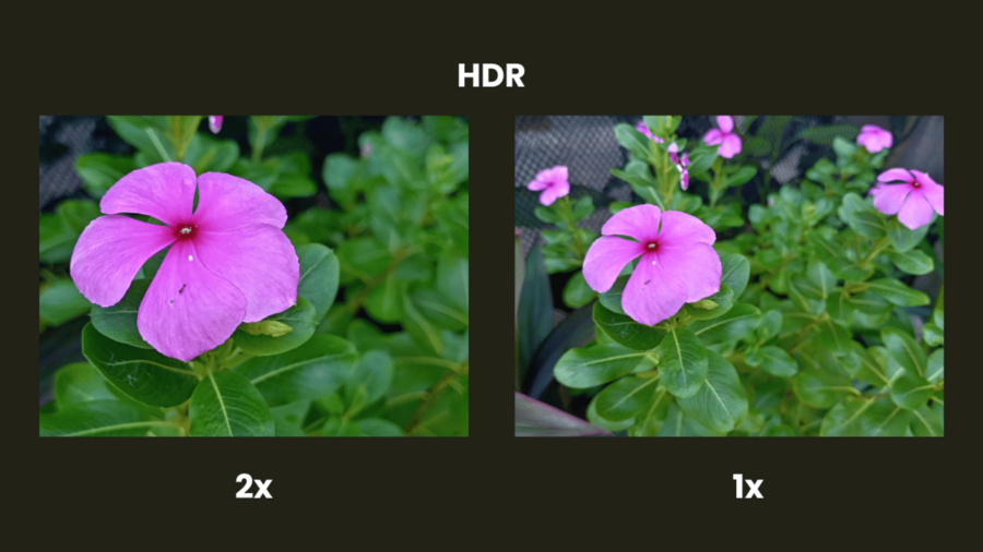 HONOR X5 Plus Review: In-Depth Look at Its Giant Battery Life, Vivid ...