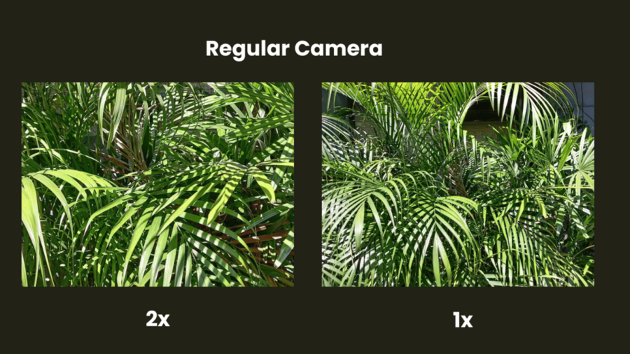 HONOR X5 Plus Review: In-Depth Look at Its Giant Battery Life, Vivid ...