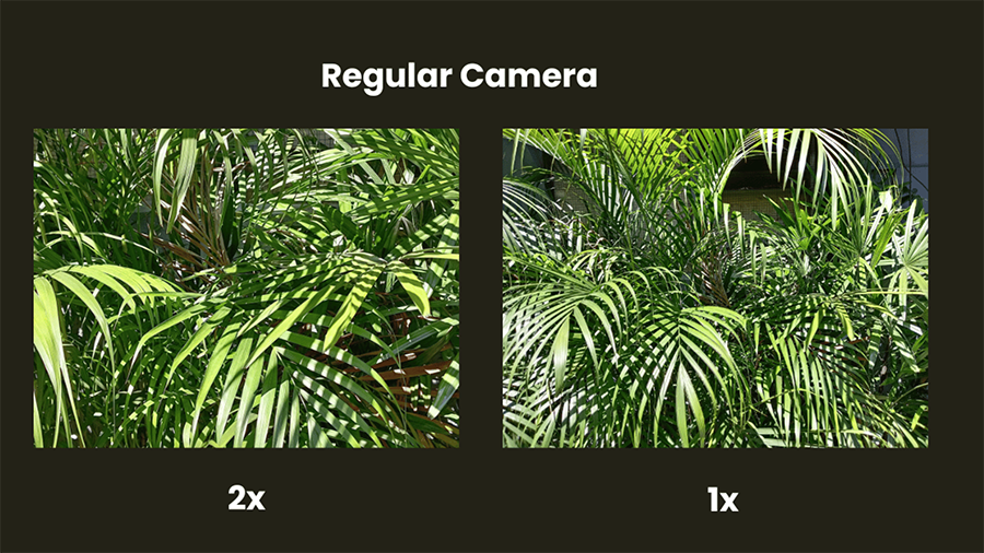 HONOR X5 Plus Review: In-Depth Look at Its Giant Battery Life, Vivid ...